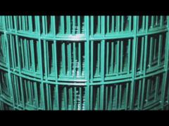 6 Gauge PVC-Schweißdrahtnetz 4x4 Grüner PVC-beschichteter Schweißdrahtzaun