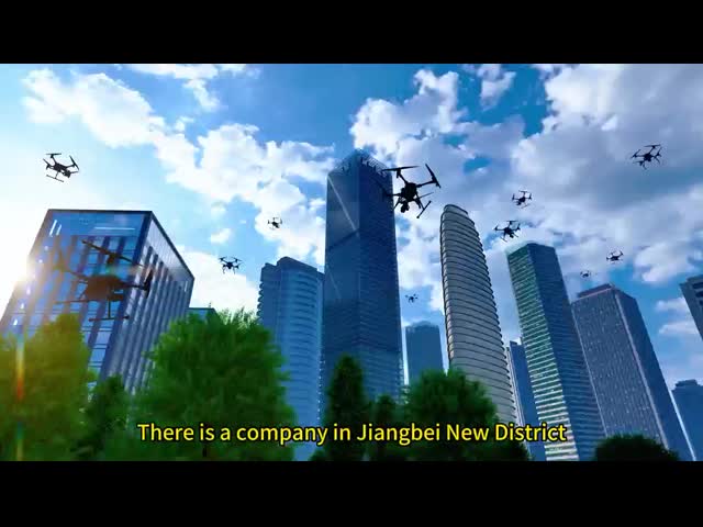 Introdução da empresa