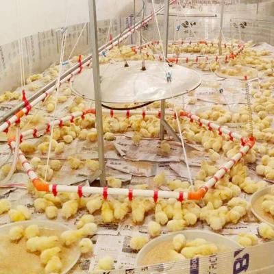 China Animal Waste Chicken Chain Free Poultry Nipple Automatic Feeding Drinking System for sale