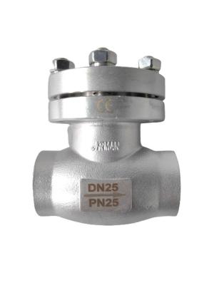 Chine Stainless Steel DN25 PN25 Cryogenic Check Valve Disc Shaped OEM For LNG à vendre