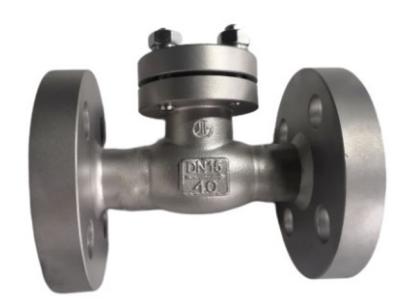 Chine Clapet anti-retour de la pression PN1.6-6.4 de DN10-250mm à vendre