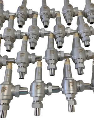 China Stainless Steel DN25 Cryogenic Full Open Safety Valve CF8 CF3 hard seal for sale