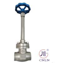 China DN15 válvula globular criogénica de ligação de flange para GNL para LOX/LN2/LAR/LCO2 -196~+80°C à venda
