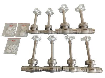 China DN25 válvula de globo criogénica de tronco longo de aço inoxidável 304/316 à venda