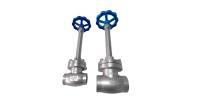 China CF8 CF8M Long Stem Cryogenic Globe Valve 1/2-10 Inch DN15-DN250 for LNG LOX LN2 LAR LCO2 Systems for sale
