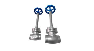 China Valva de globos criogénicos de caule longo CF8 CF8M para GNL/LOX/LN2/LAR/LCO2 à venda