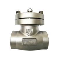 China CF8/CF3 Cryogenic Check Valve DN10-DN250mm PN40.0MPa for LNG and Industrial Gas Systems for sale