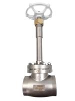 China Manual DN25 DN40 Cryogenic Socket Weld Globe Valve -196℃ to +80℃ Temperature Range 5.0MPa Pressure for sale
