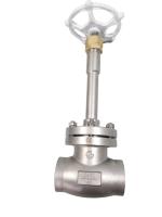 China SS304 CF8 DN50 Low Temperature Socket Weld Globe Valve -196°C to +80°C PN5.0MPa Pressure for sale
