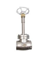 China PN40 SS304/316 Cryogenic Globe Valve Socket Weld for sale