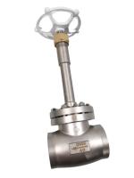 China PN40 DN65 SS304/316 Socket Weld Globe Valve Cryogenic Type for sale