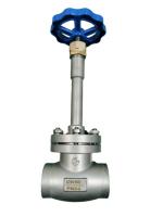 China Low Temperature Cryogenic Weld Type Globe Valve Long Stem For LNG for sale