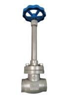 China DN25 PN50 CF8 Cryogenic Socket Weld Globe Valve -80℃ to +80℃ Temperature Range for LNG Applications for sale