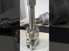 Socket Welding Connection High Pressure Check Valve voor cryogene vloeibare gassen Lox Lng Lin PN320 Valve