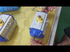 Attuatore pneumatico a rack e pinion con viti di copertura