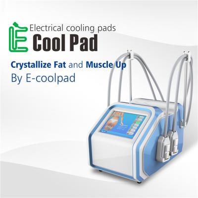 China Light Weight Portable EMS Physiotherapy Machine , Home Cryolipolysis Machine for slimming for sale