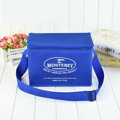 China Square shape, hot and cold durable reusable,insulated picnic cooler bag,zippered non woven picnic lunch bag for sale