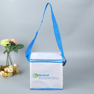 China Custom Imprint Bag Grocery Lunch Tote Cooler  Thermal Lunch Cooler Bag, Custom size, weight, design for sale