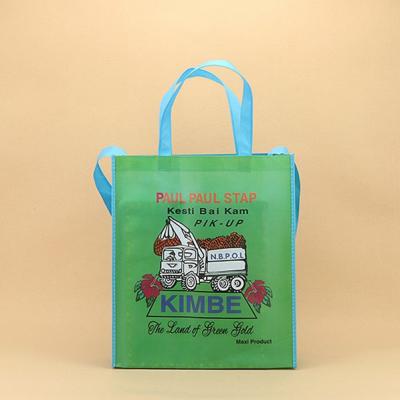 China Eco-friendly 80GSM non-woven value priced shopping bag, reusable fold able green earth carry bags logo printed branding for sale