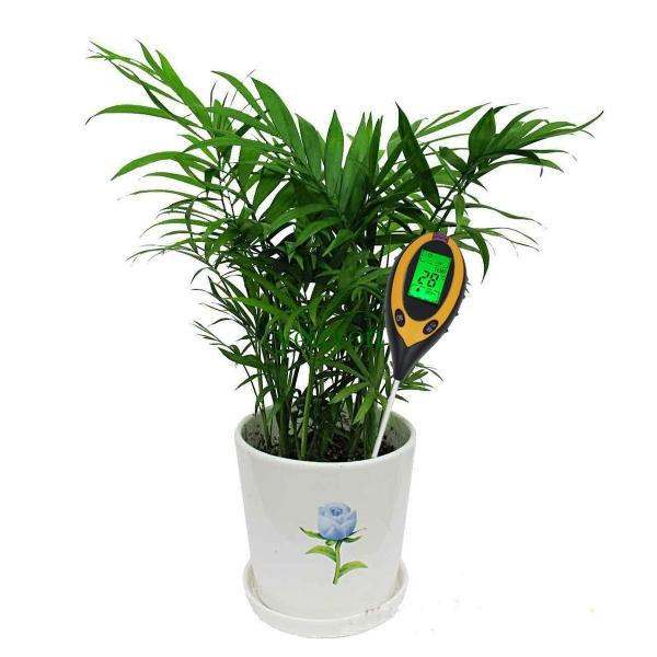 Quality 4 in 1 Soil Meter Tester Accurate Readings for Moisture Temperature PH and for sale