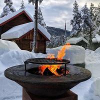 China Heating And Cooking Barbecue Bbq Grill for sale