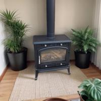 China Efficient Customizable Large Cast Iron Wood Burner Assembly Required for sale