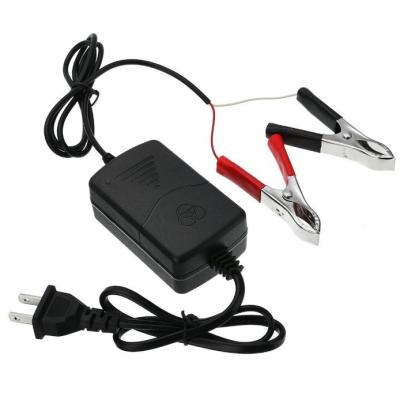 Cina C-Power 15W 12V/1.25A 4S LiFePO4 caricabatterie al litio per le esigenze del cliente in vendita