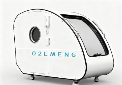 China White Medical Oxygen Concentrator for Therapeutic and Medical Applications for sale