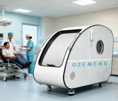 China Medical/Therapeutic Medical Oxygen Concentrator with Flow Rate of 10Liter/Min and Noise Level Less Than 63 DB for sale