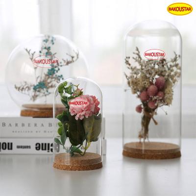 China Mundgeblasener Borosilicat-ewiges Lebens-Blumen-Glasdeckel zu verkaufen