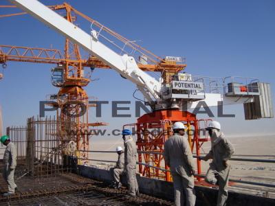 Cina 32m Climbing Concrete Placing Boom in vendita