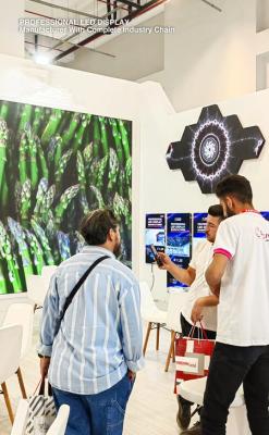 중국 P2 실내 LED 모듈 전색 LED 디스플레이 화면 SMD1515 판매용