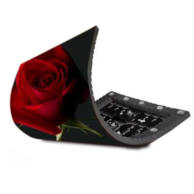 Cina 3840HZ Modulo LED flessibile per interni P2.5 320*160mm E 240*120mm in vendita
