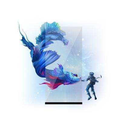 China 3D Naakt oog Ultra dunne holografische LED-scherm Indoor Reclame Flexibel LED-scherm Te koop