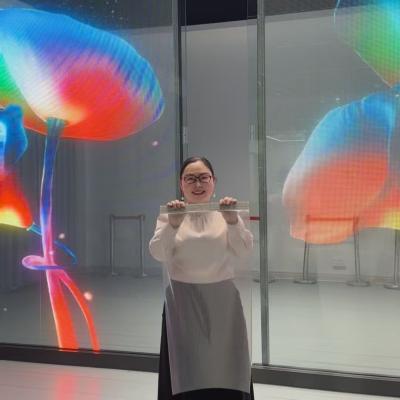 China Transparante ledfilm scherm Flexibel kleefmiddel op glas video muur helder superdun ledfilm display P6 P8 P10 Te koop