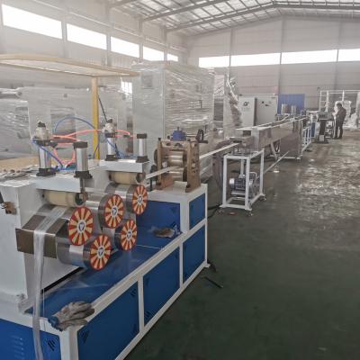 Cina Fibra rinforzata PET Geo Strap Production Line con design a una sola vite in vendita