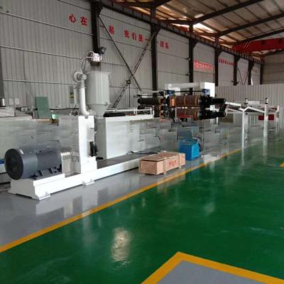 중국 PP PS ABS 엽 생산 라인 펌핑 배기가스 및 사용자 정의 요청 판매용