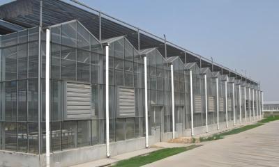 Cina Ventilatore a pressione negativa industriale da 400 mm per serre agricole e avicole, progettazione CAD/CAM in vendita