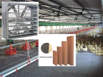 China Factory Price Quality Plastic Cooling Pad Wall Water Curtain Cellulose Paper for Chicken House for sale