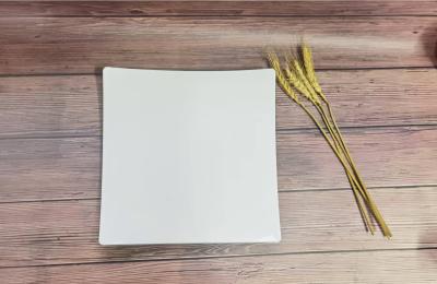 China White High Temperature PET Tableware Buffet Plate Size M 25.3 X 25.3 X 1.8cm for sale
