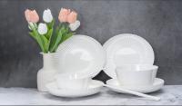 China Environmentally Friendly High Temperature Resistant PET Tableware Customizable for sale