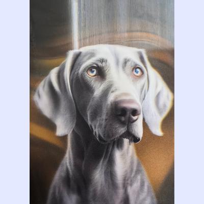 China 0.3mm 0.35mm 0.45mm 0.6mm 0.8mm 0.9mm 3D Lenticular Lens Sheet Digital Printing for sale