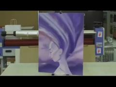 Lenticular panel