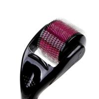 China Titanium 540 Microneedle Derma Roller , Ice Stamp Beard Derma Roller for sale