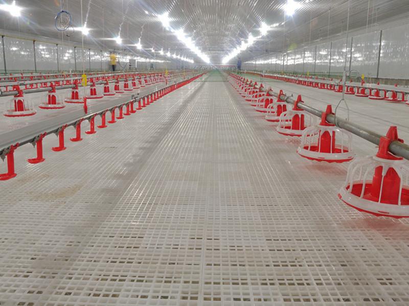 Verified China supplier - Wudi Sinossen Husbandry Equipment Co., Ltd.