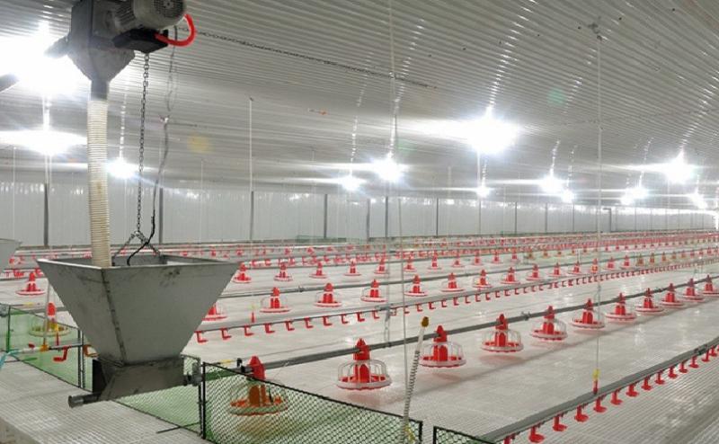 Verified China supplier - Wudi Sinossen Husbandry Equipment Co., Ltd.