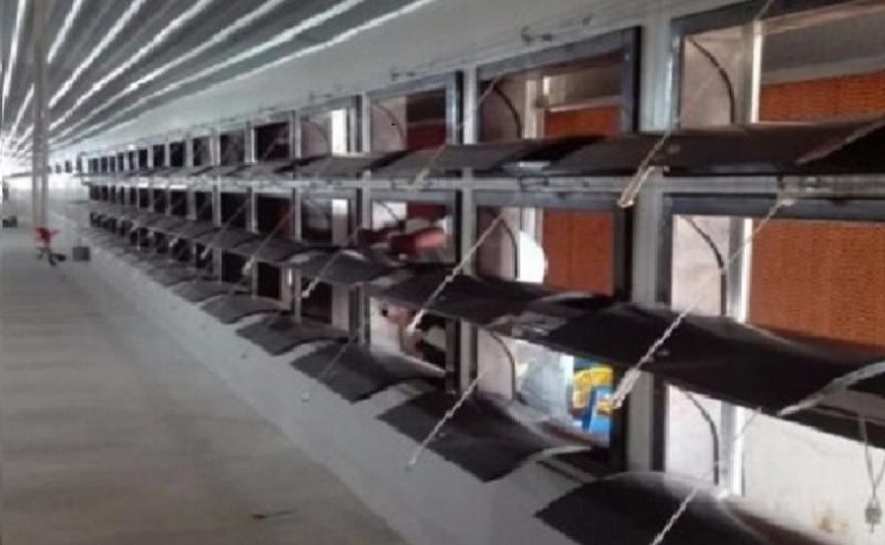 Verified China supplier - Wudi Sinossen Husbandry Equipment Co., Ltd.