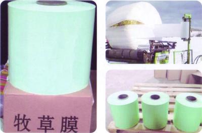 Cina PE/PVC Stretch Film Unit in vendita