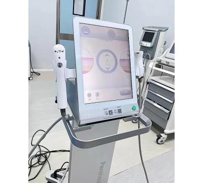 Cina Doppia macchina portatile di lifting facciale di ultrasuono In1 di ultrasuono +RF 2 di MicroUltra della maniglia in vendita