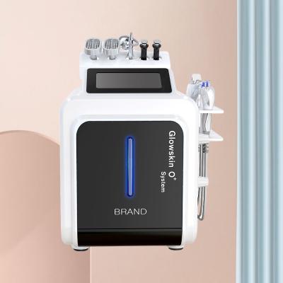 Cina Macchina facciale 10 di Dermabrasion della hydra multifunzionale portatile in 1 BIO- sollevamento di rf in vendita